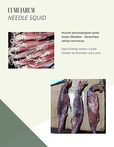 CUMI JARUM (NEEDLE SQUID)